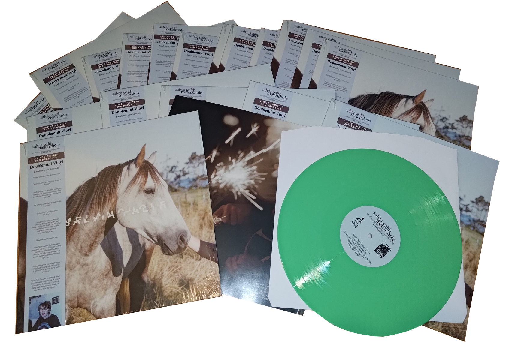 salvia palth – official website